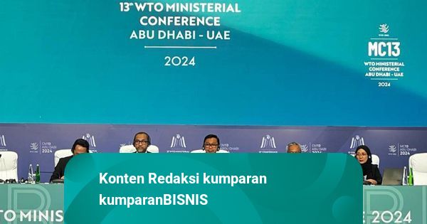 Di KTM ke-13 WTO, RI Dorong Ada Kesepakatan Atasi Tantangan Global | kumparan.com